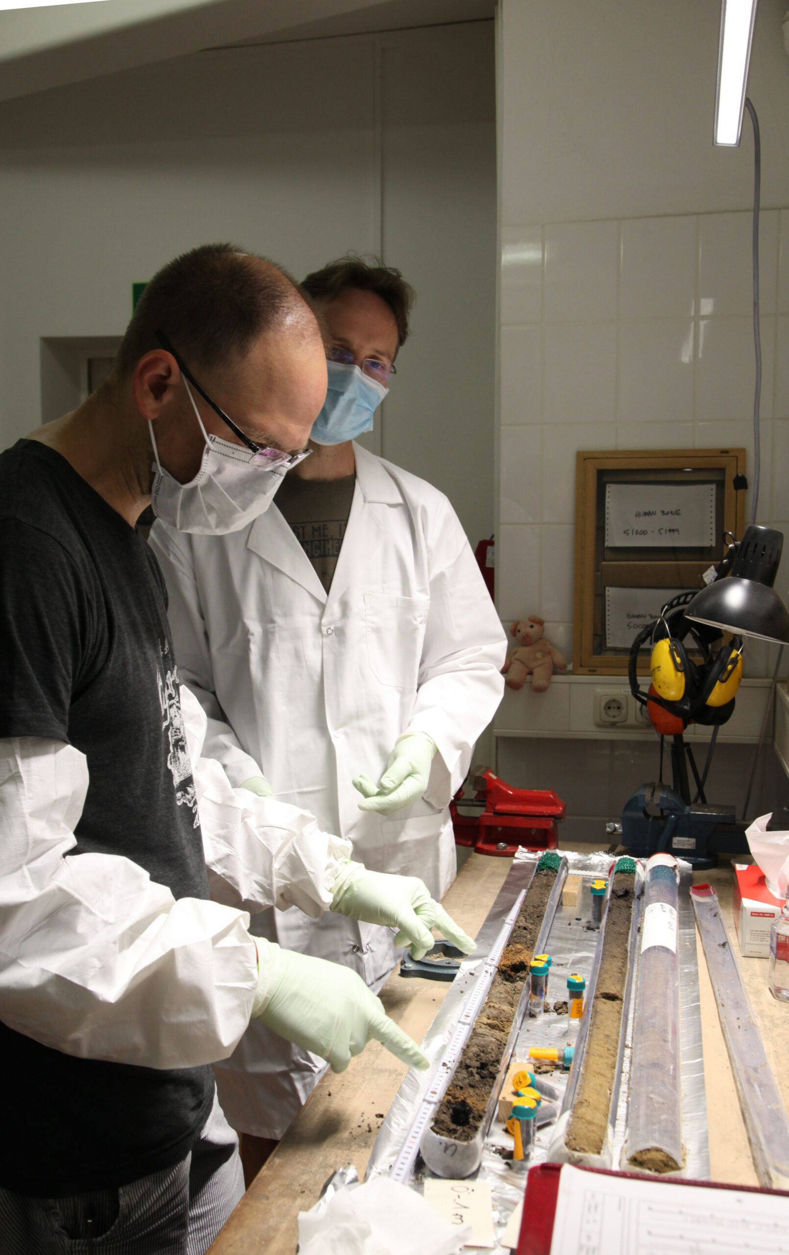 Mit Sediment-DNA die Geschichte prähistorischer Siedlungen neu ...