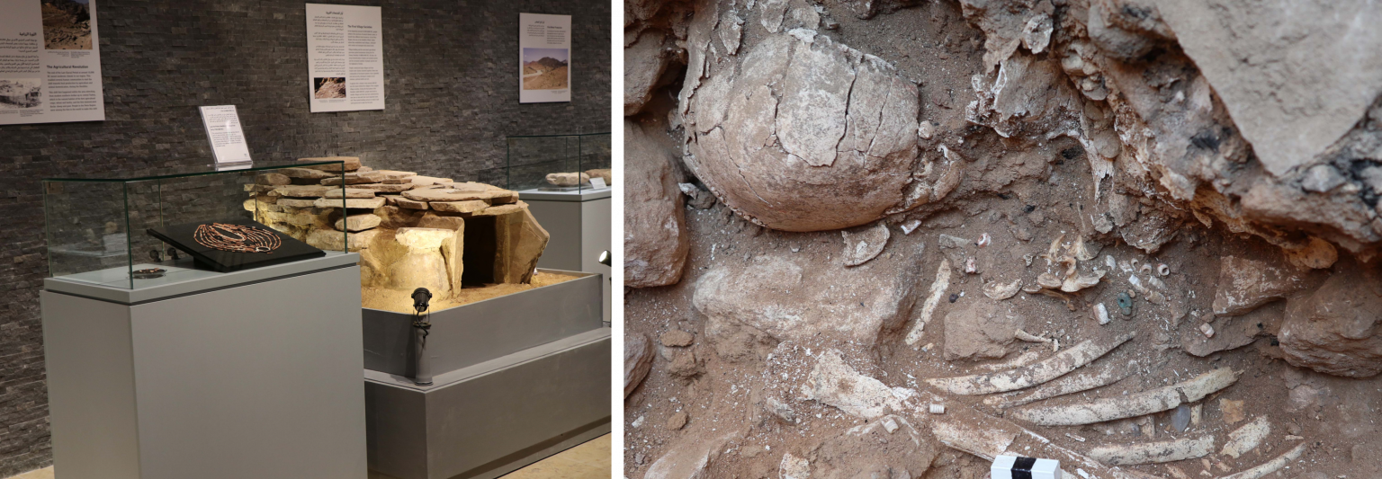 Bones and beads – Human Bioarchaeology