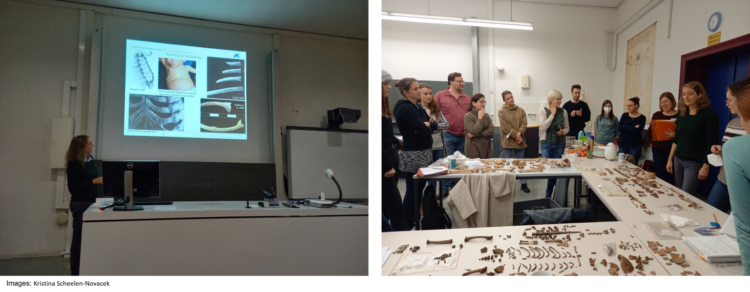 Human Bioarchaeology