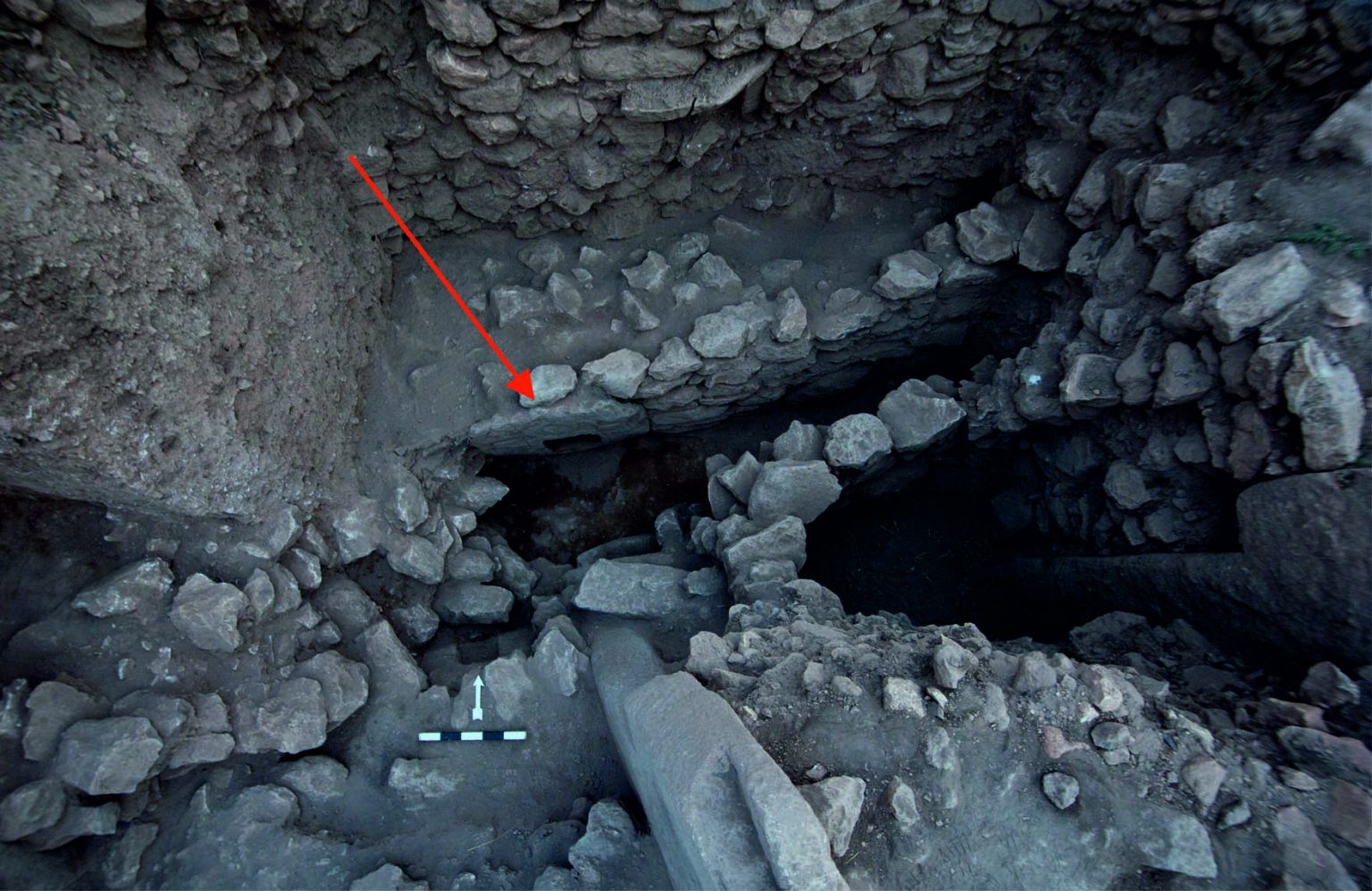 Two foxes and a bucranium: the first in situ porthole stone from ...