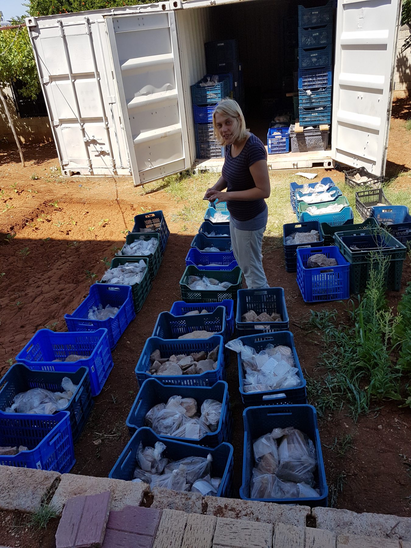 002 – Tepe Telegrams