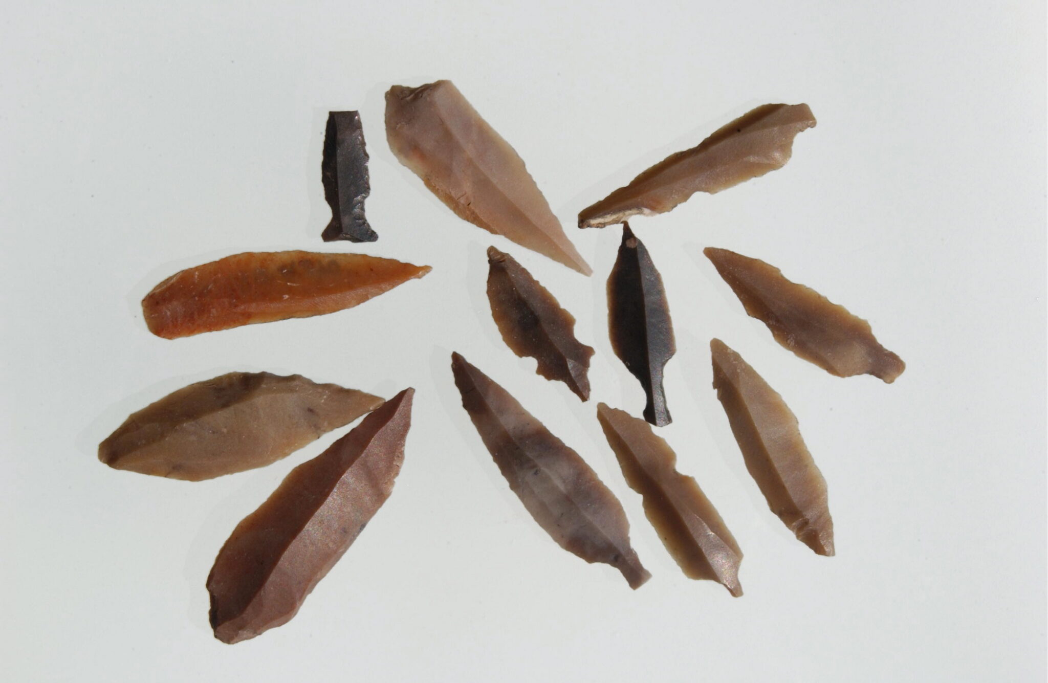 Tepe Telegrams – From the Göbekli Tepe Research Project