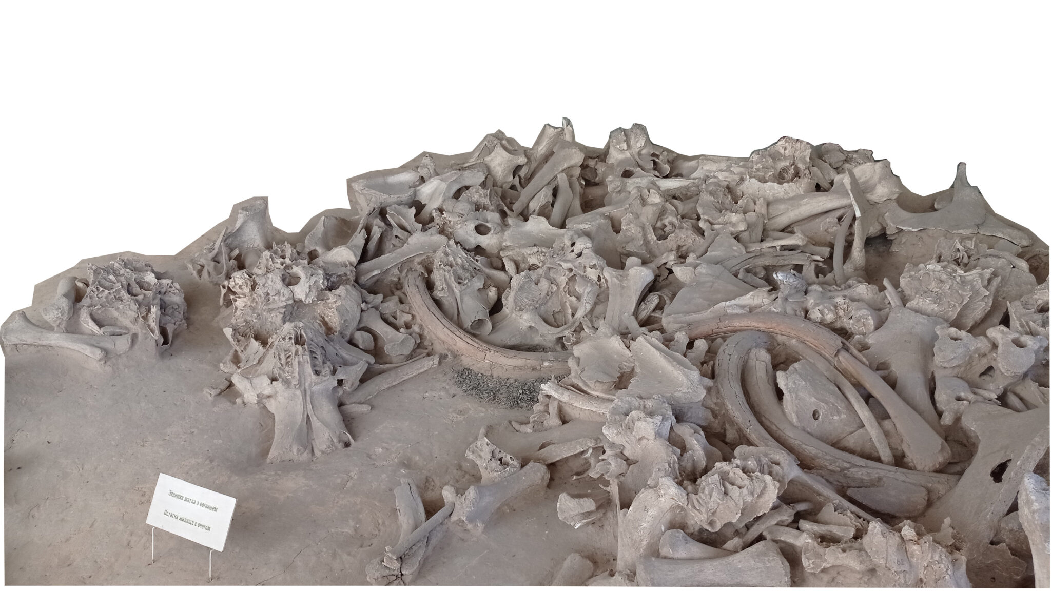 DAI4UKR: The Core Reduction Strategies of the Epigravettian Industries ...