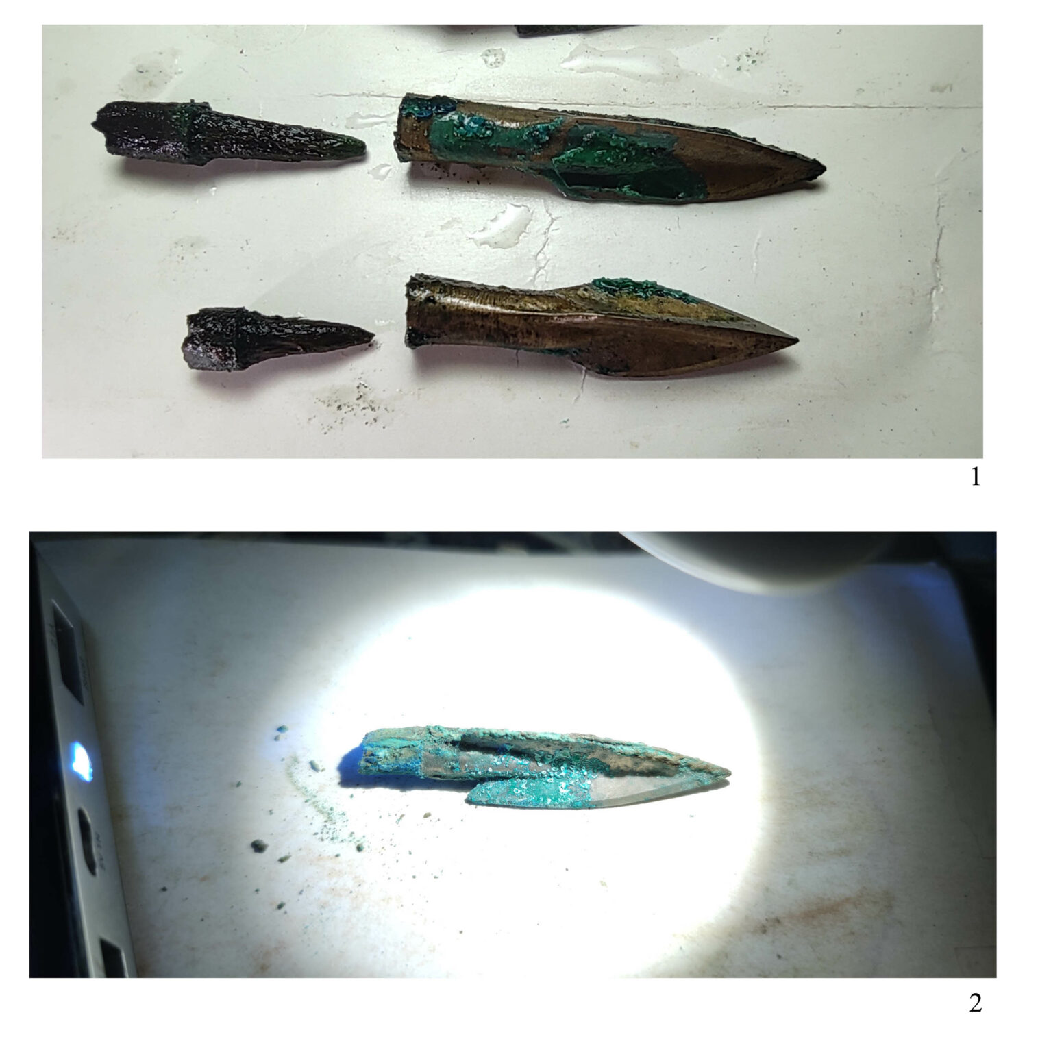 DAI4UKR: Warrior Grave in Bilsk (Herodotus’ Gelonus) – New Complex of ...