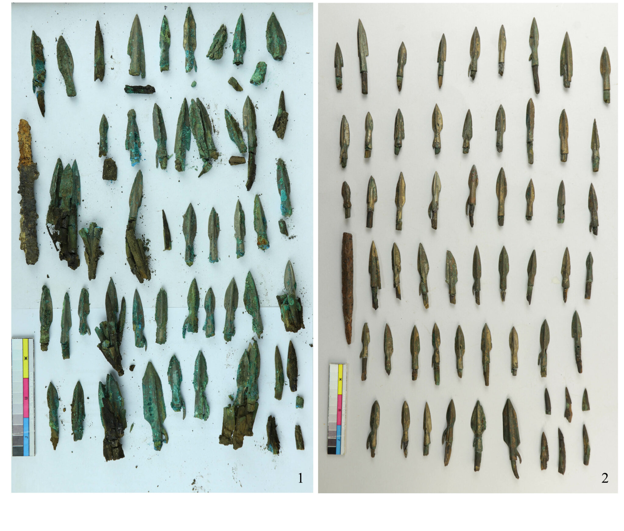 DAI4UKR: Warrior Grave in Bilsk (Herodotus’ Gelonus) – New Complex of ...