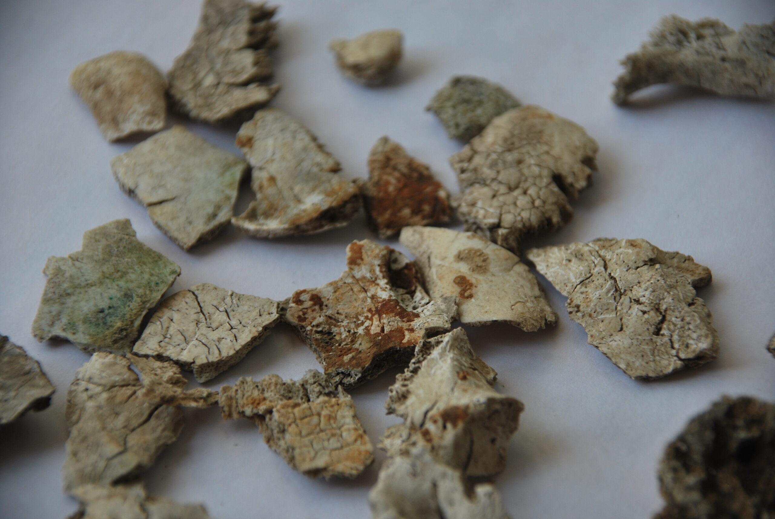 DAI4UKR: Cremated Human Remains from Late Roman Cemeteries in Ukraine ...