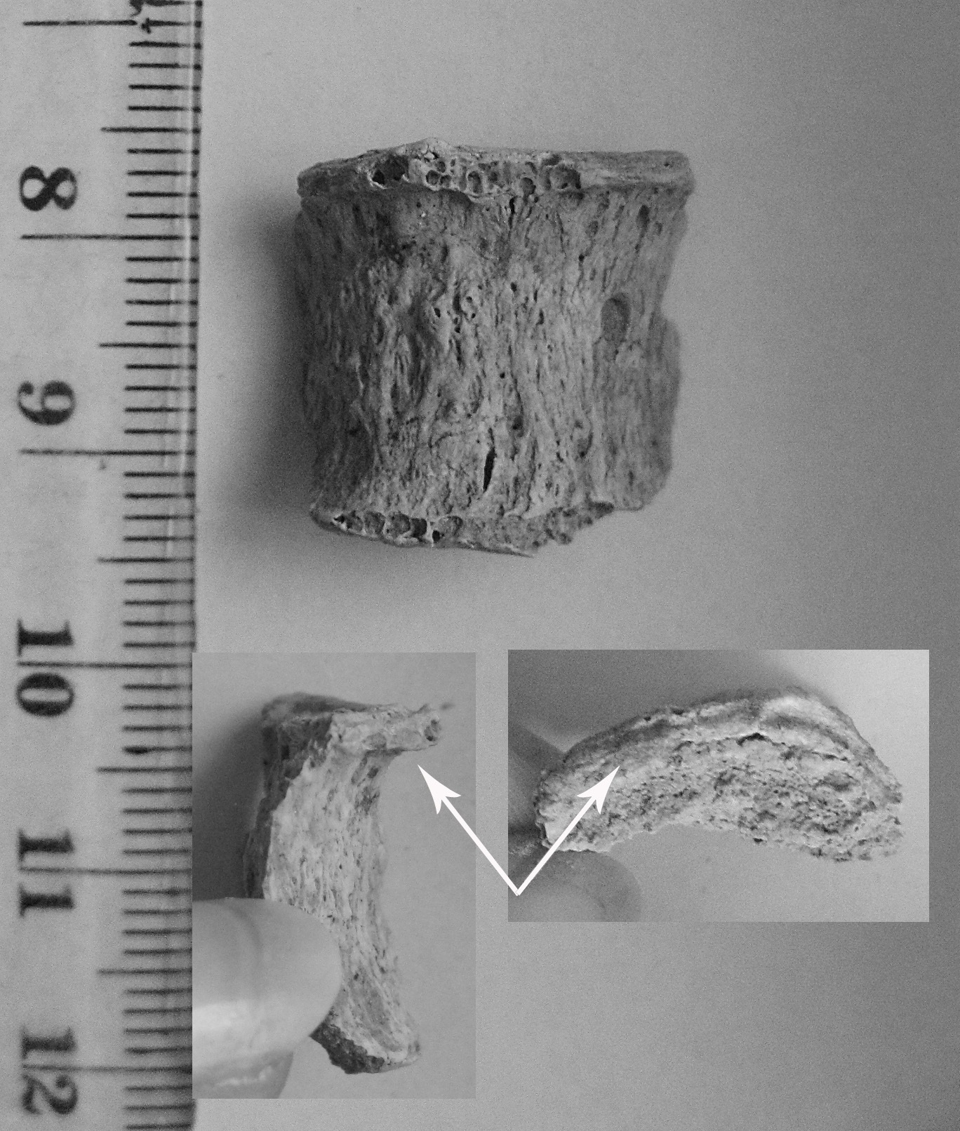DAI4UKR: Cremated Human Remains from Late Roman Cemeteries in Ukraine ...