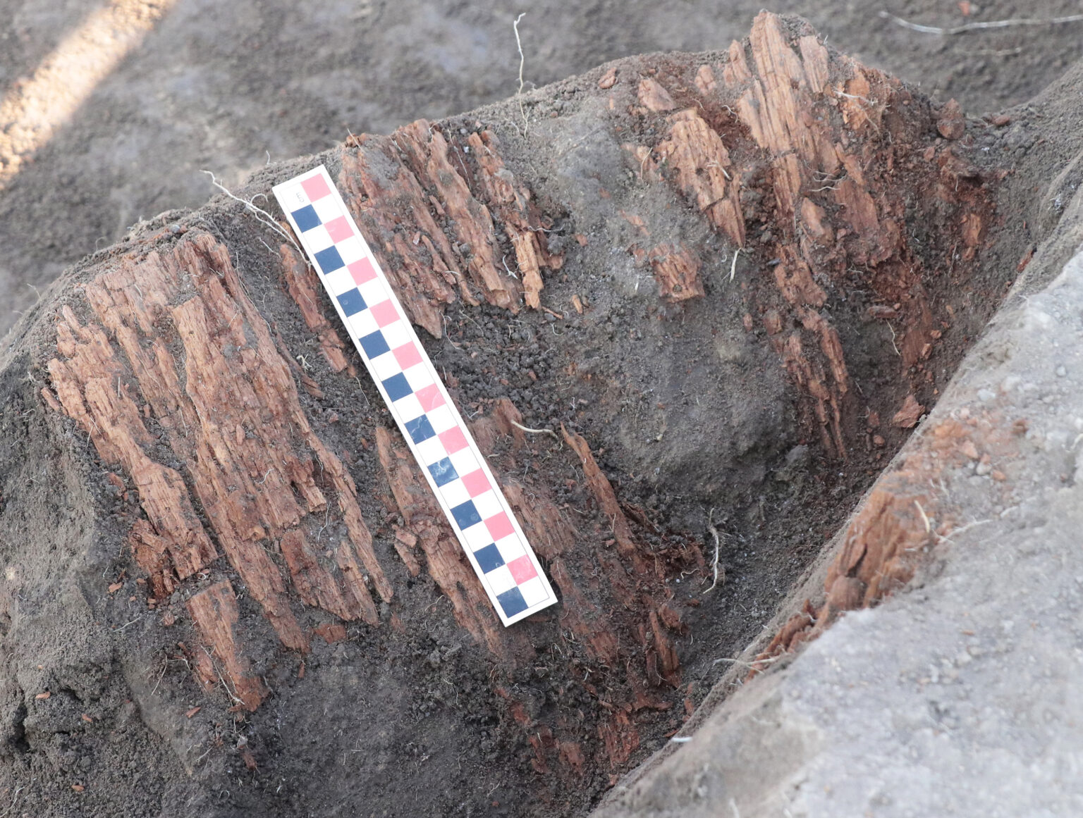 Documenting, Recording and Saving Ukrainian Archaeological Heritage